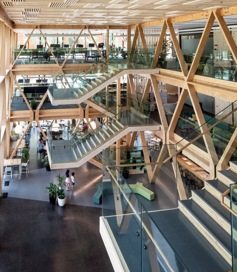 Building New Zealand’s First Sizable Steel-Less Timber Building ...